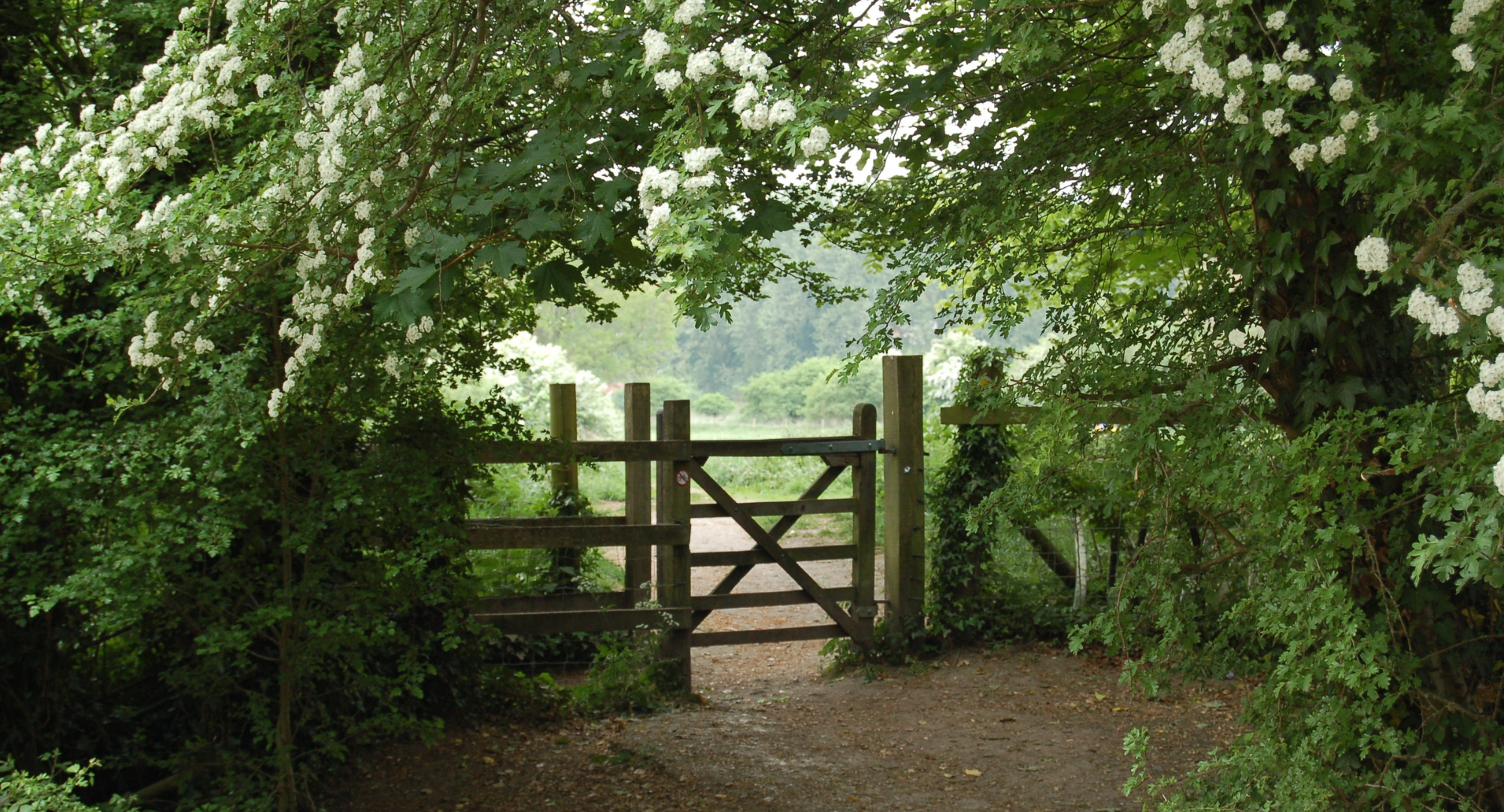 Exclusive Gated Community Living: Discover Ecowood Habitat’s Managed ...